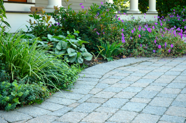 Landscape Problems & Solutions (3 of 3): Creating Curb Appeal