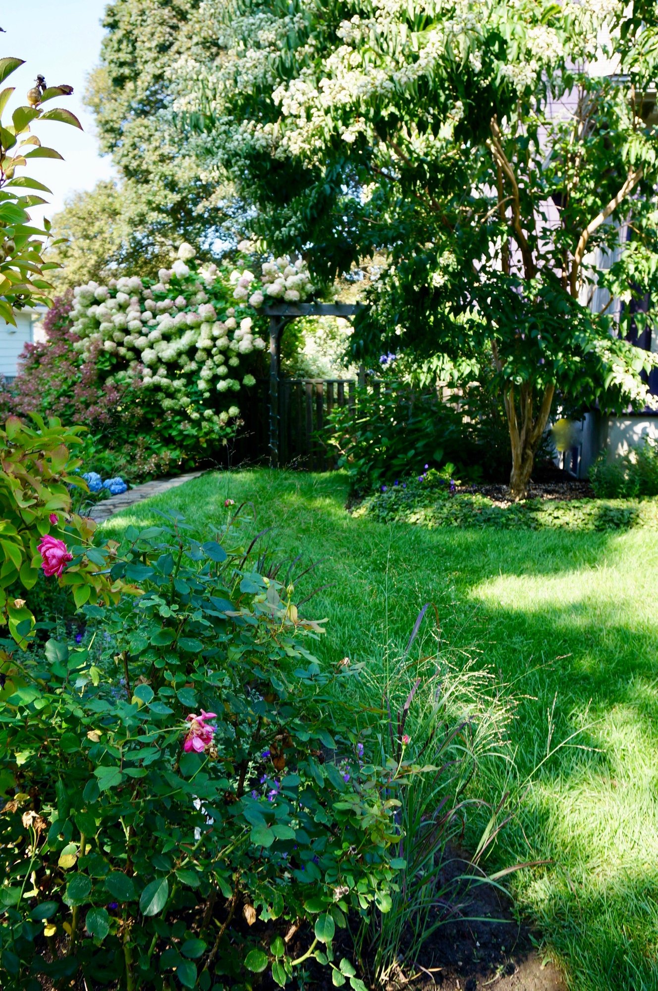 7 Fast-Growing Trees for Privacy in Massachusetts