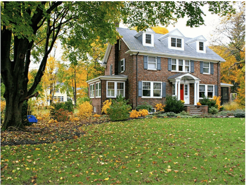 7 Must-Do Landscape Tasks to Add to Your Fall Yard Cleanup Checklist