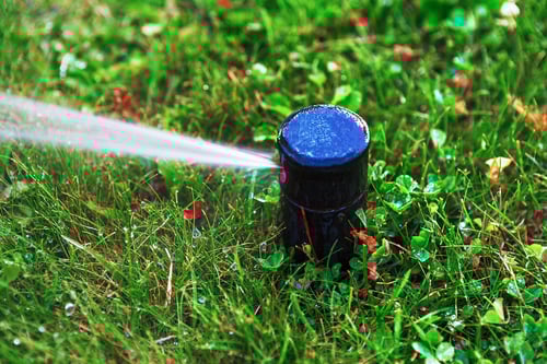 Why Fall Is the Best Time to Install an Irrigation System for Your ...