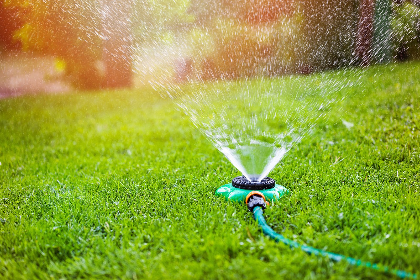 Why Fall Is the Best Time to Install an Irrigation System for Your ...