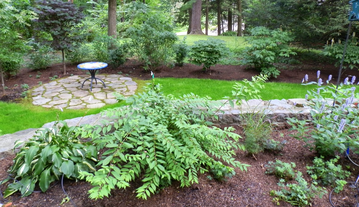 The DIYer’s Guide to Garden Landscaping