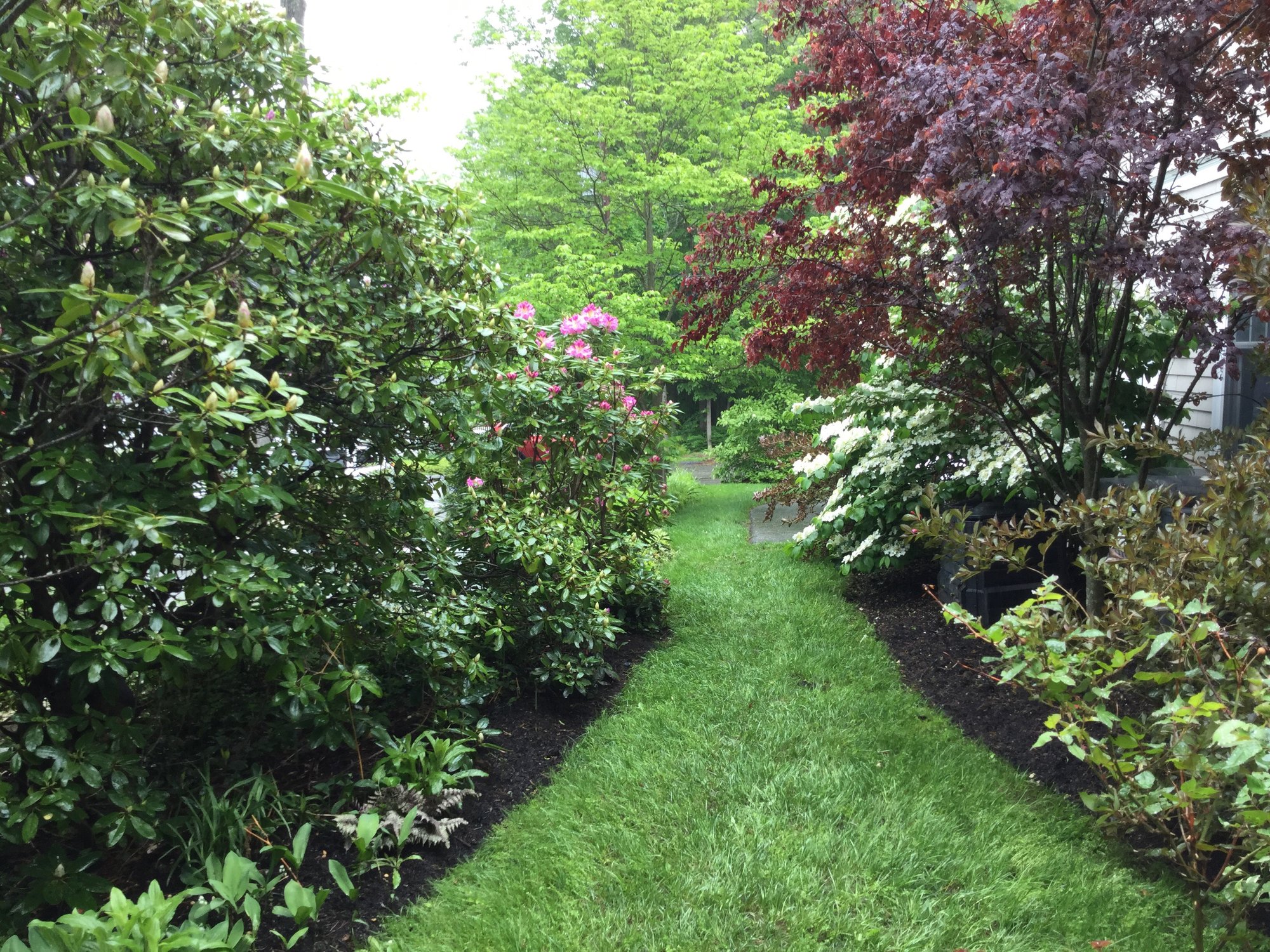 Privacy Landscaping: Creating Seclusion with Plantings and Design