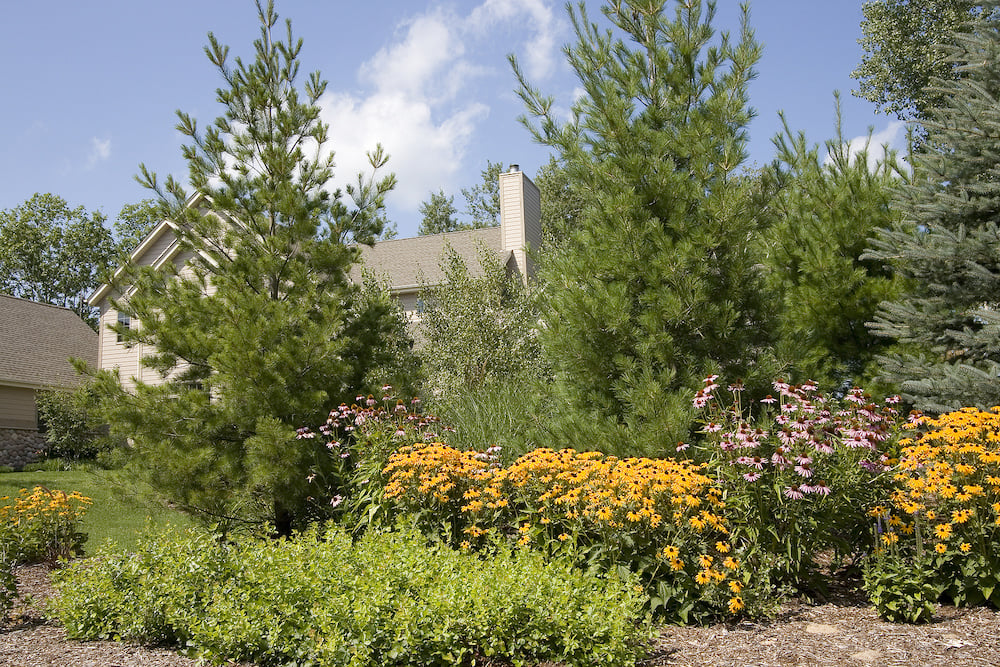 7 Fast-Growing Trees for Privacy in Massachusetts