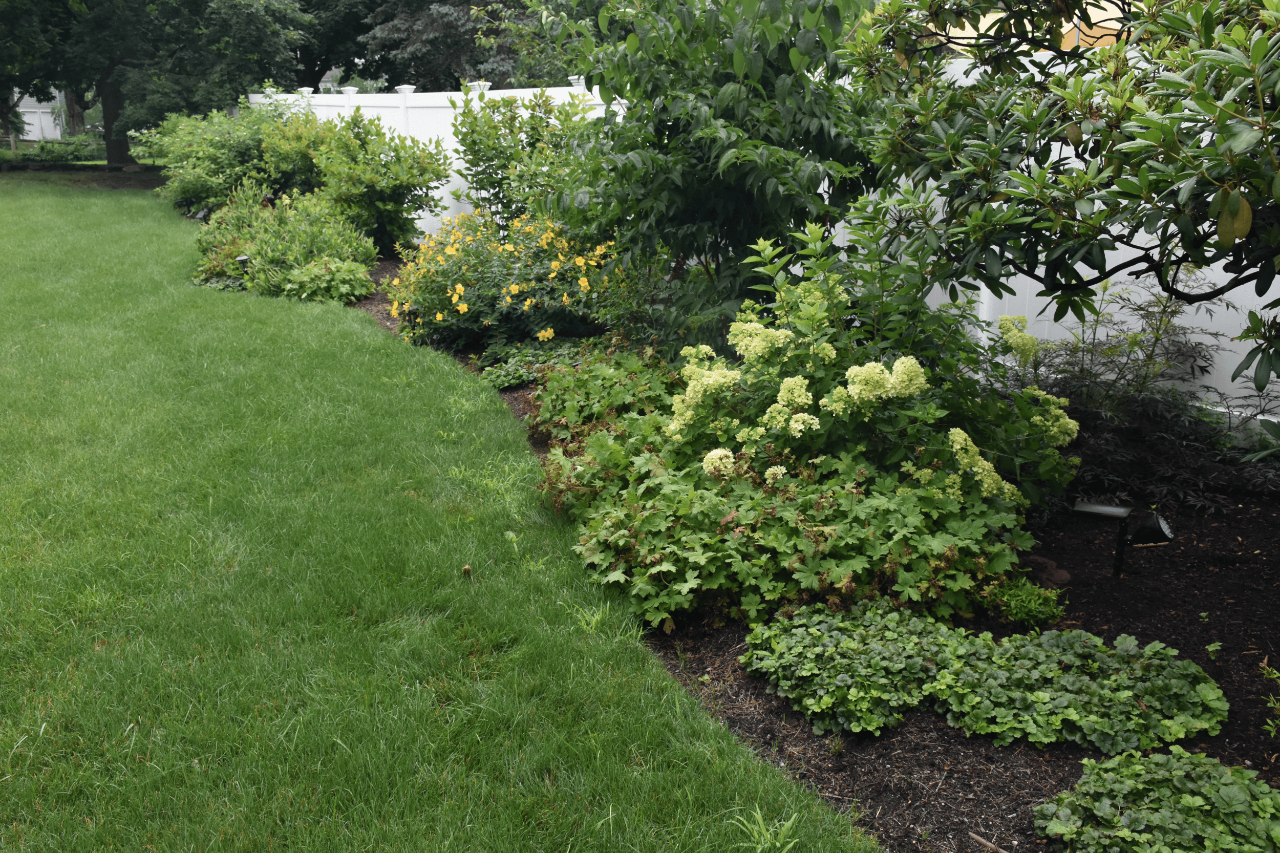 7 Must-Do Landscape Tasks to Add to Your Fall Yard Cleanup Checklist