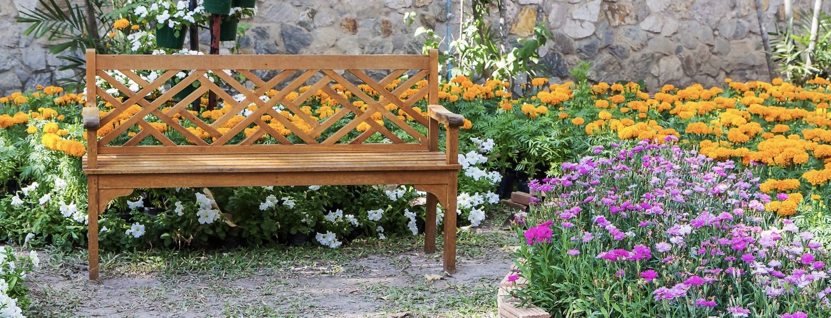 13 Insider Tips to a Beautiful Contemplation Garden