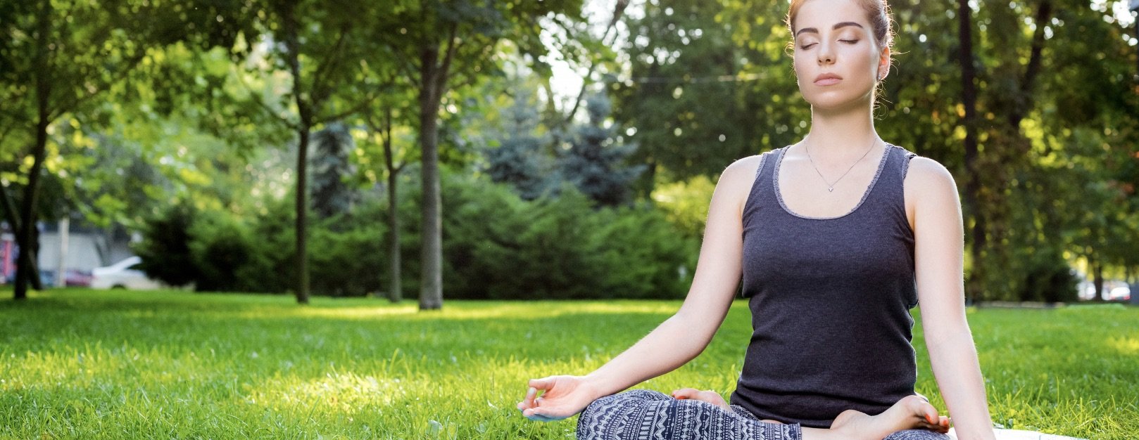 13 Insider Tips to a Beautiful Contemplation Garden