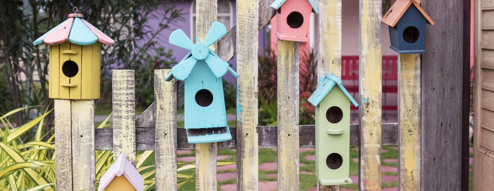 13 Insider Tips to a Beautiful Contemplation Garden