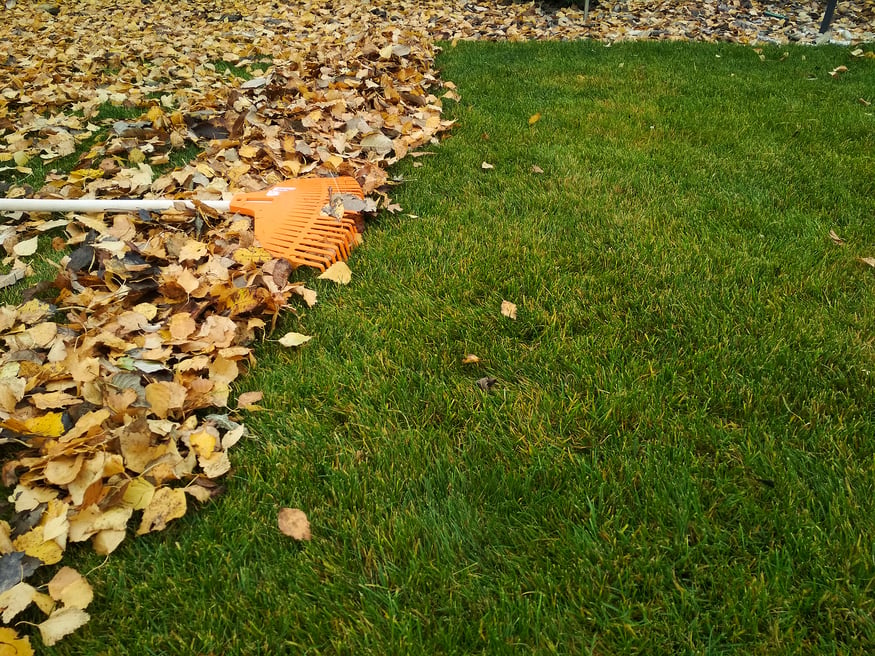 The Difference between Traditional and Ecological Fall Cleanup Part 3