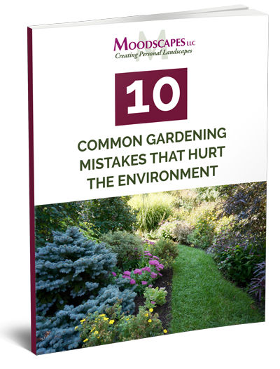 10 Common Gardening Mistakes that Hurt The Environment