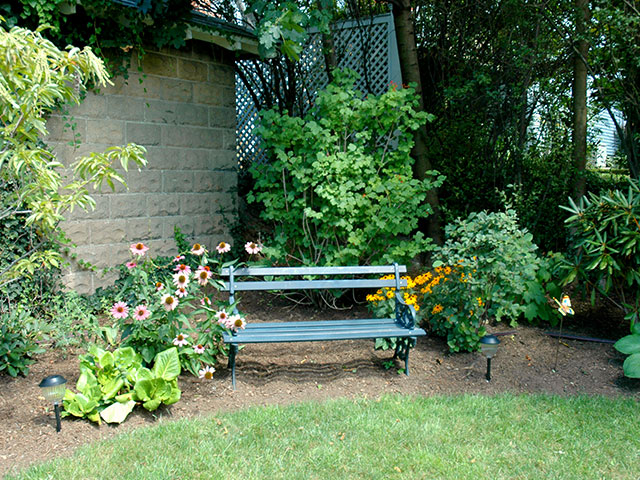 13 Insider Tips to a Beautiful Contemplation Garden